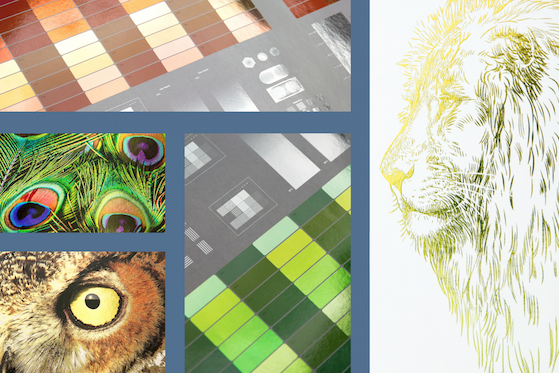 LGR Packaging unveils a new large format cold stamping line