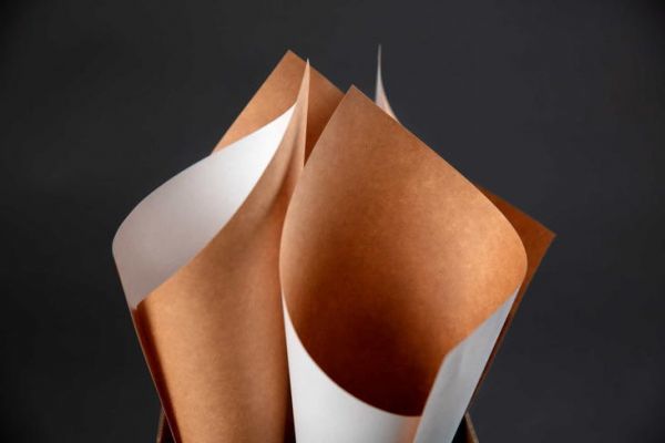 Paper: SCA initiates wave of price increases in Europe