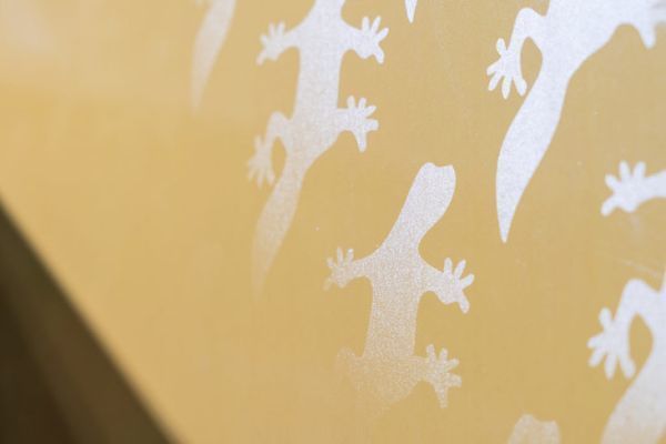 The Nautilus single-pass UV press now features digital varnish and ...